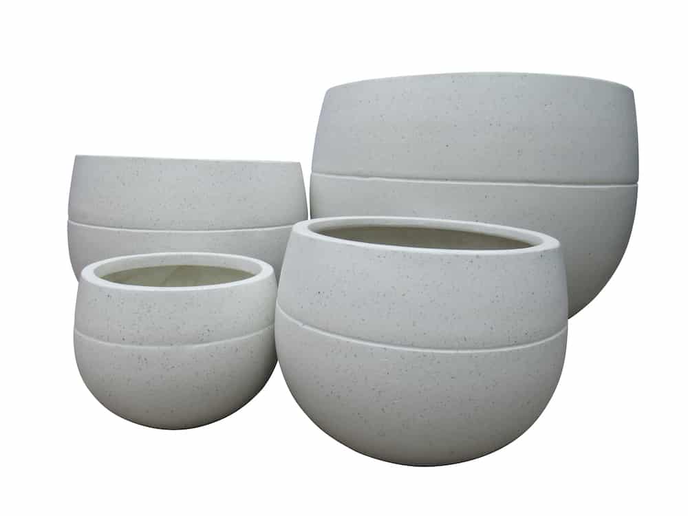 Belly Pot Diacos Garden Nursery And Trade Nursery